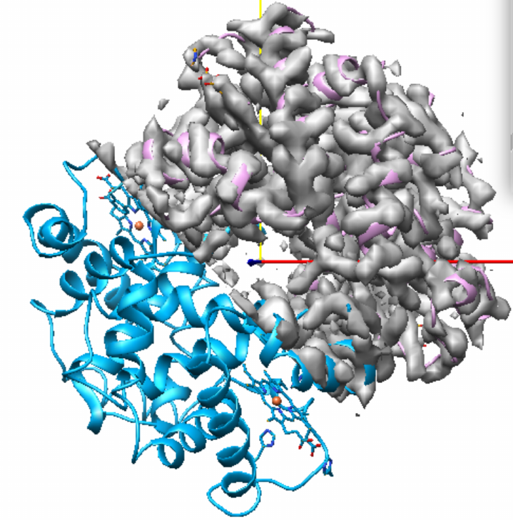 Graphical interface manuals — Scipion 3.0.0 documentation